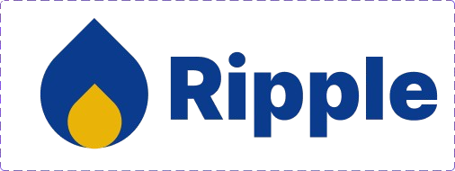 Ripple - Professional Networking Reimagined